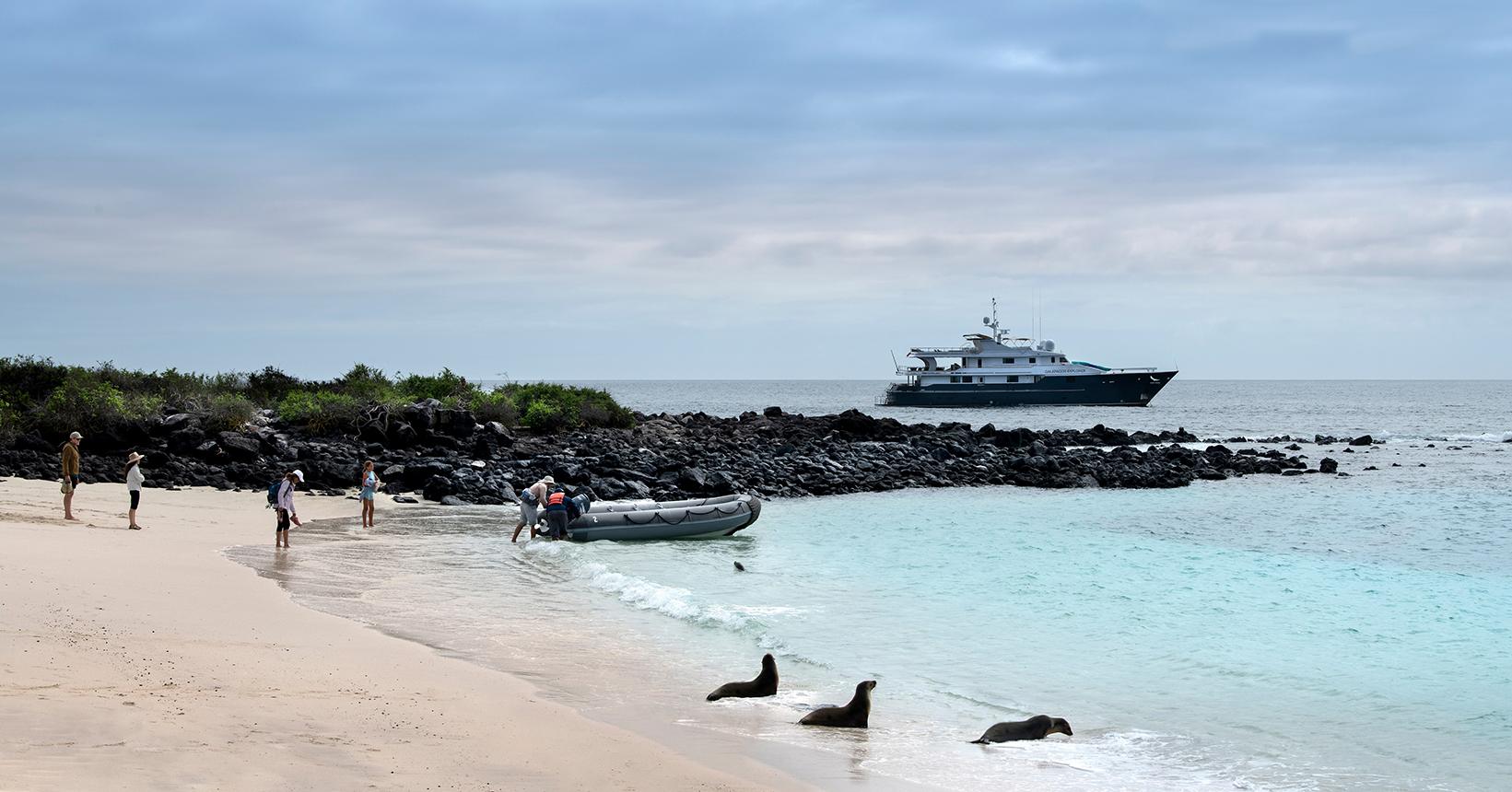 Pelorus Yachtng Expeditions Redefine Private Exploration at Sea ...